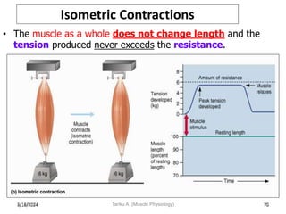 Muscle Physiology muscle is important tissue in maintenance of body ...