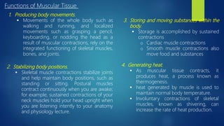 MUSCLE PHYSIOLOGY 1 | PPT