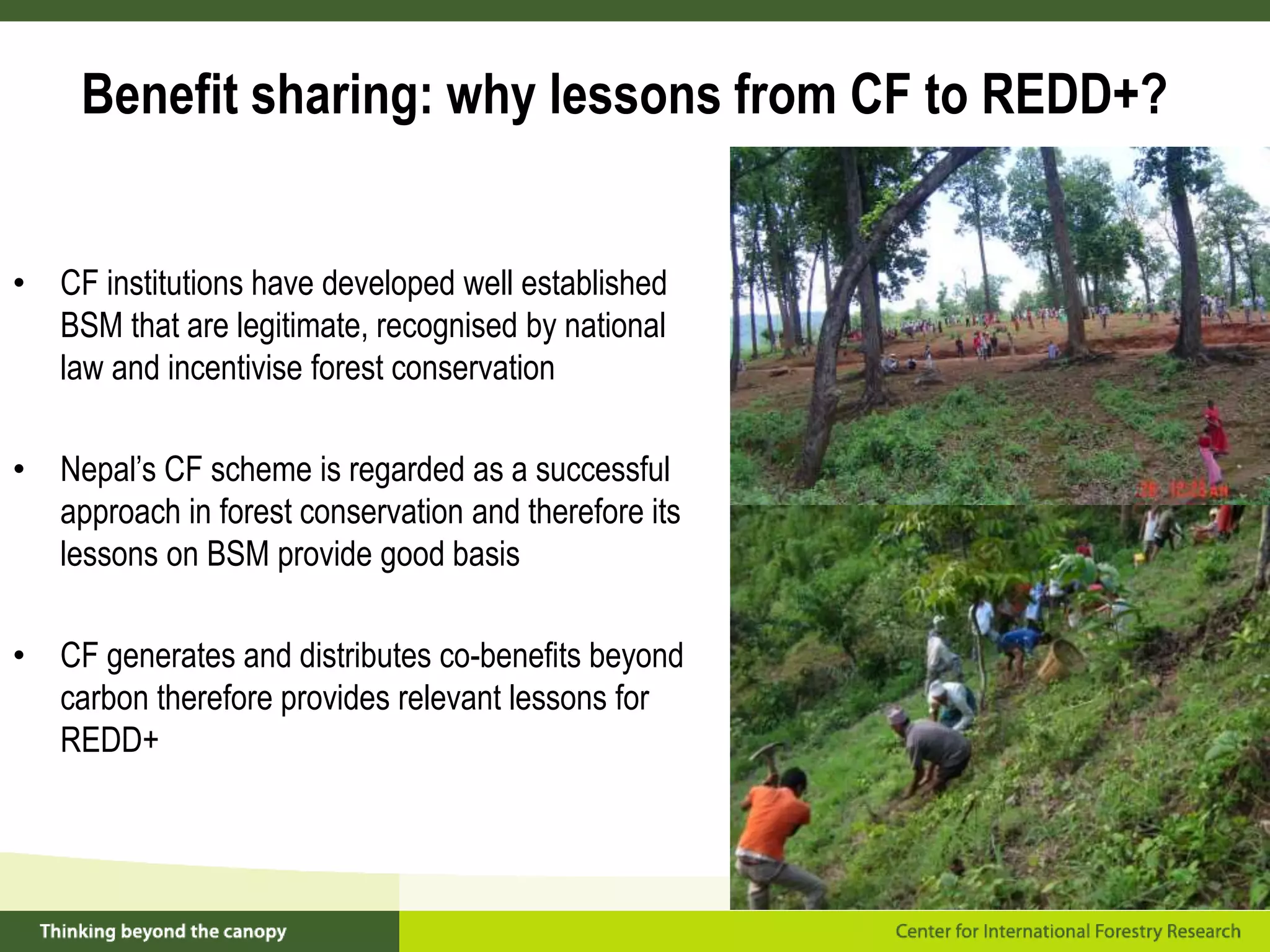 REDD+ Benefit Sharing Mechanism (BSM): Lessons from Community Forestry ...
