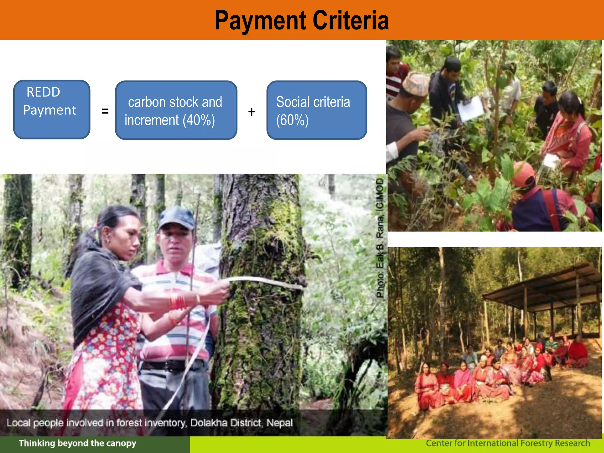REDD+ Benefit Sharing Mechanism (BSM): Lessons from Community Forestry ...