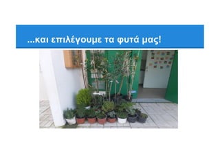 Σχολικοί Κήποι | PPT