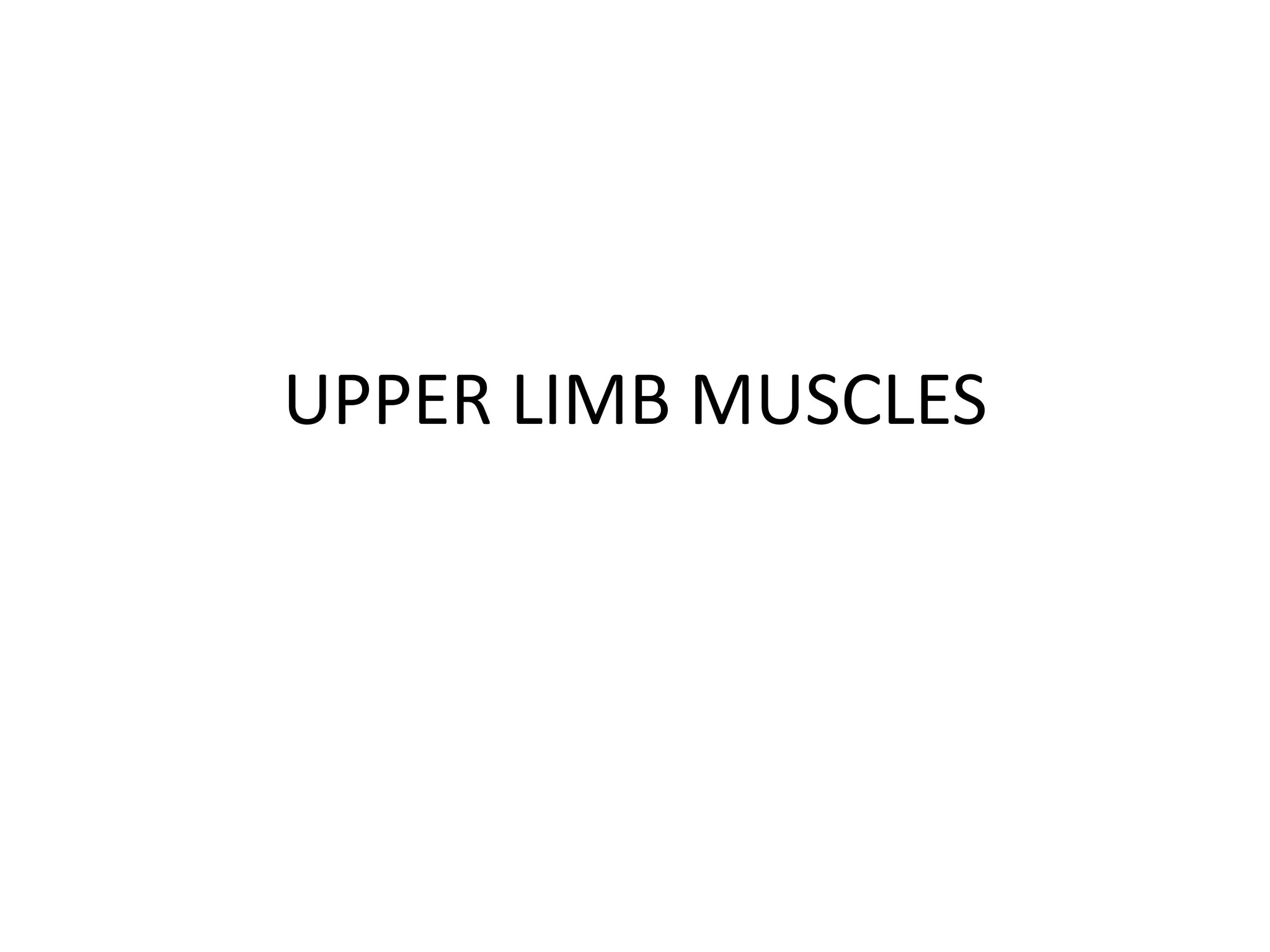 Upper limb muscles | PPTX