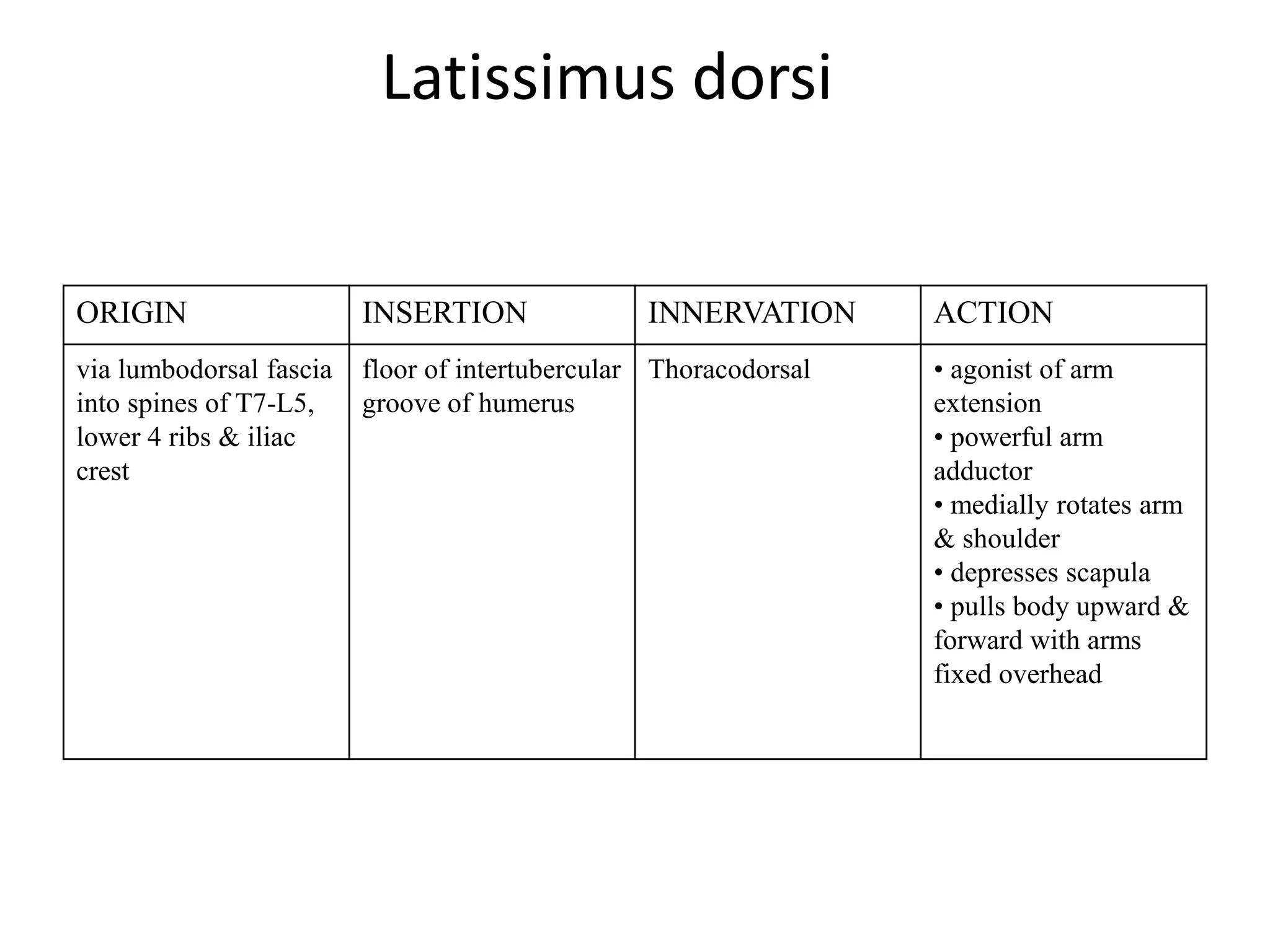 Upper limb muscles | PPTX
