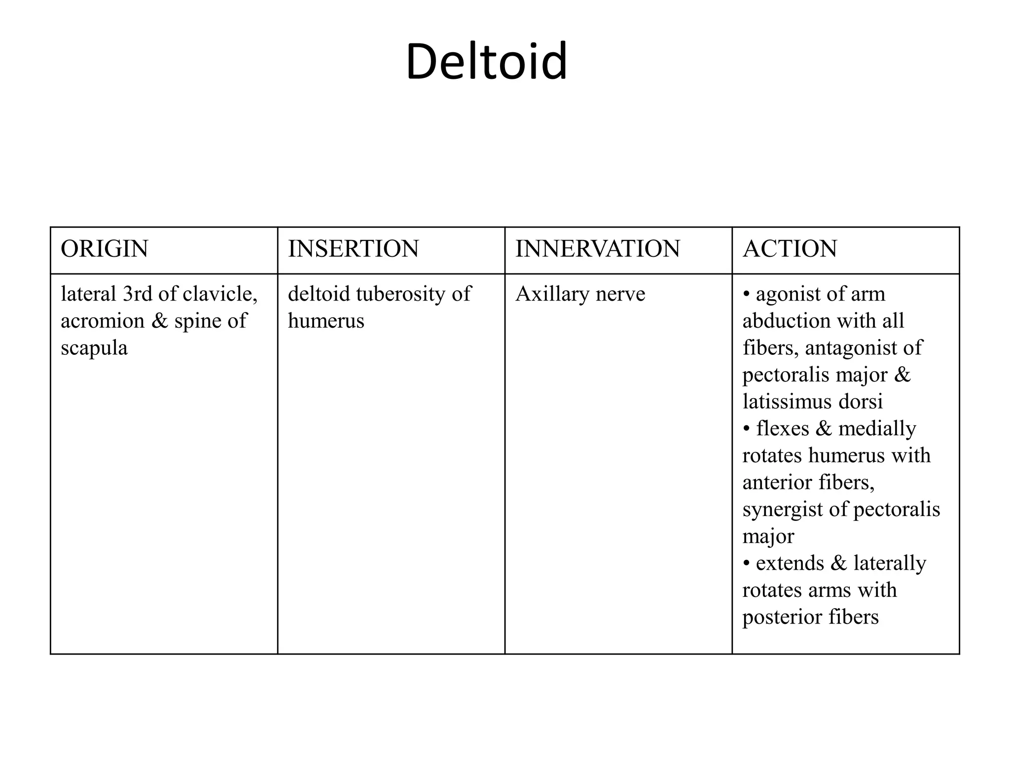 Upper limb muscles | PPTX