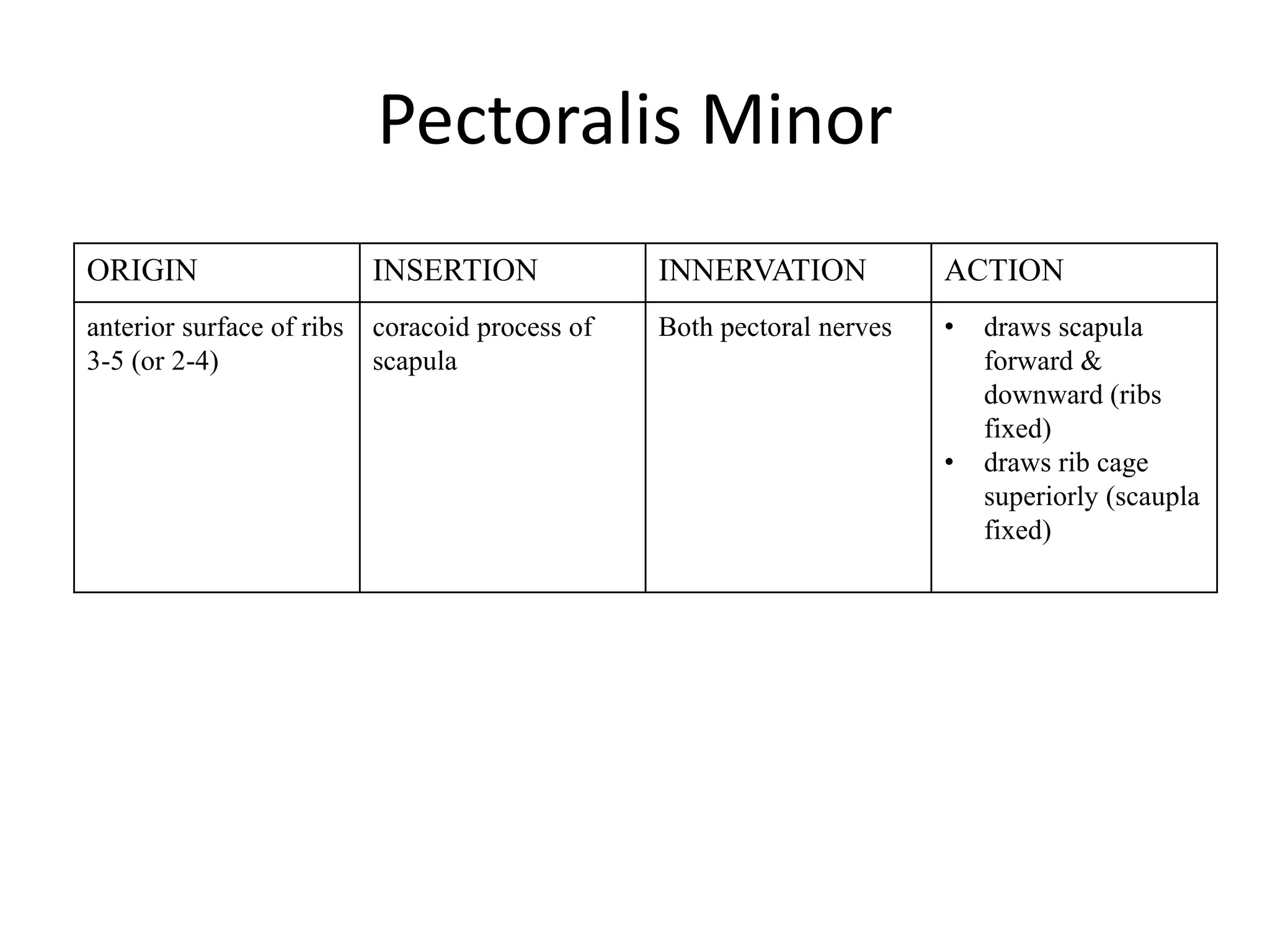Upper limb muscles | PPTX