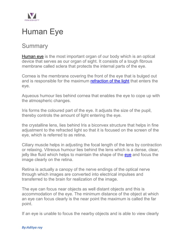Human eye | PDF