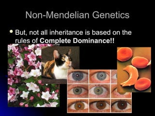 3_Non-Mendelian_Genetics_inheriyance_sciences.pptx