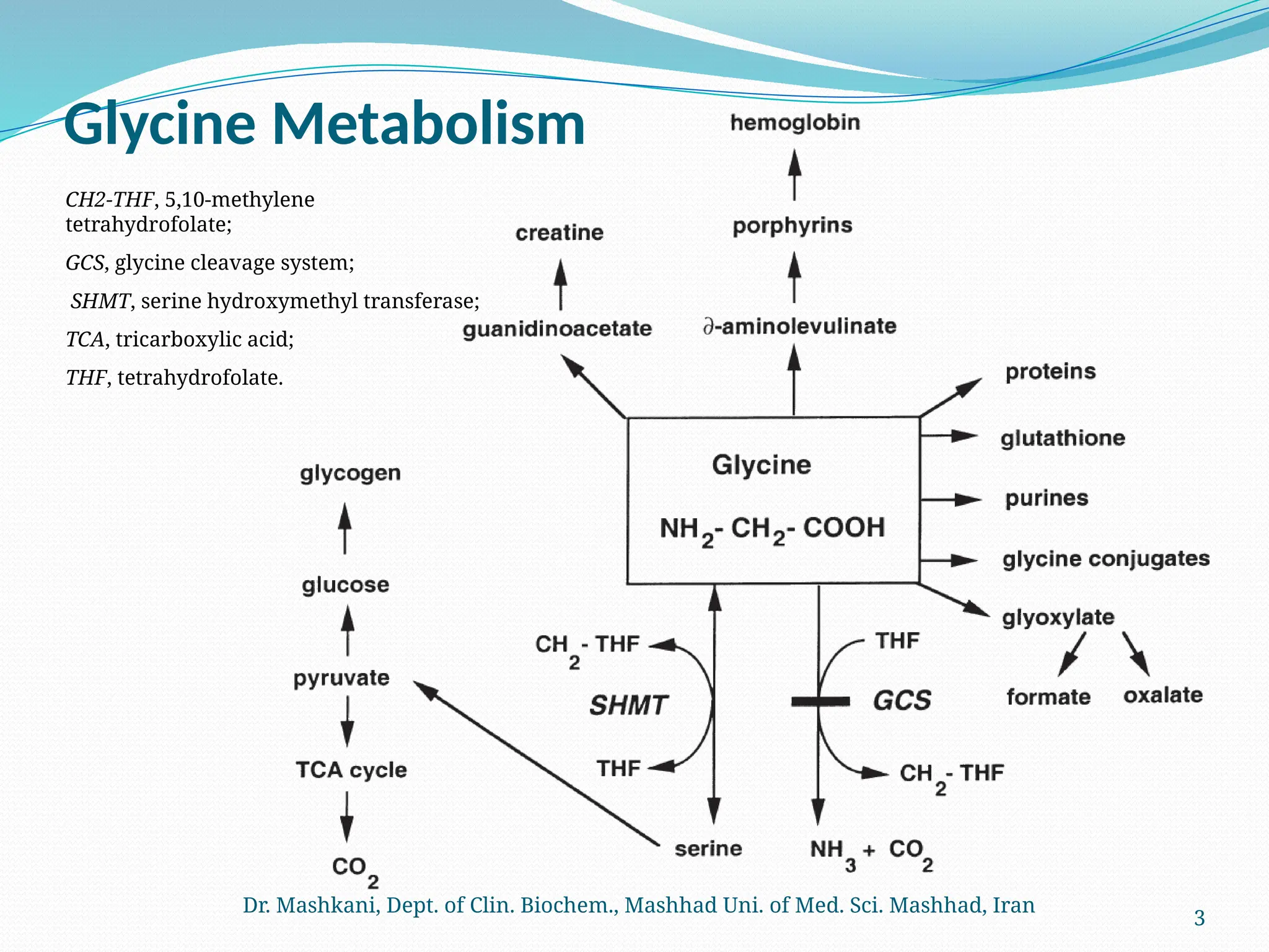 3 Nonketotic Hyperglycinemia educational.pptx
