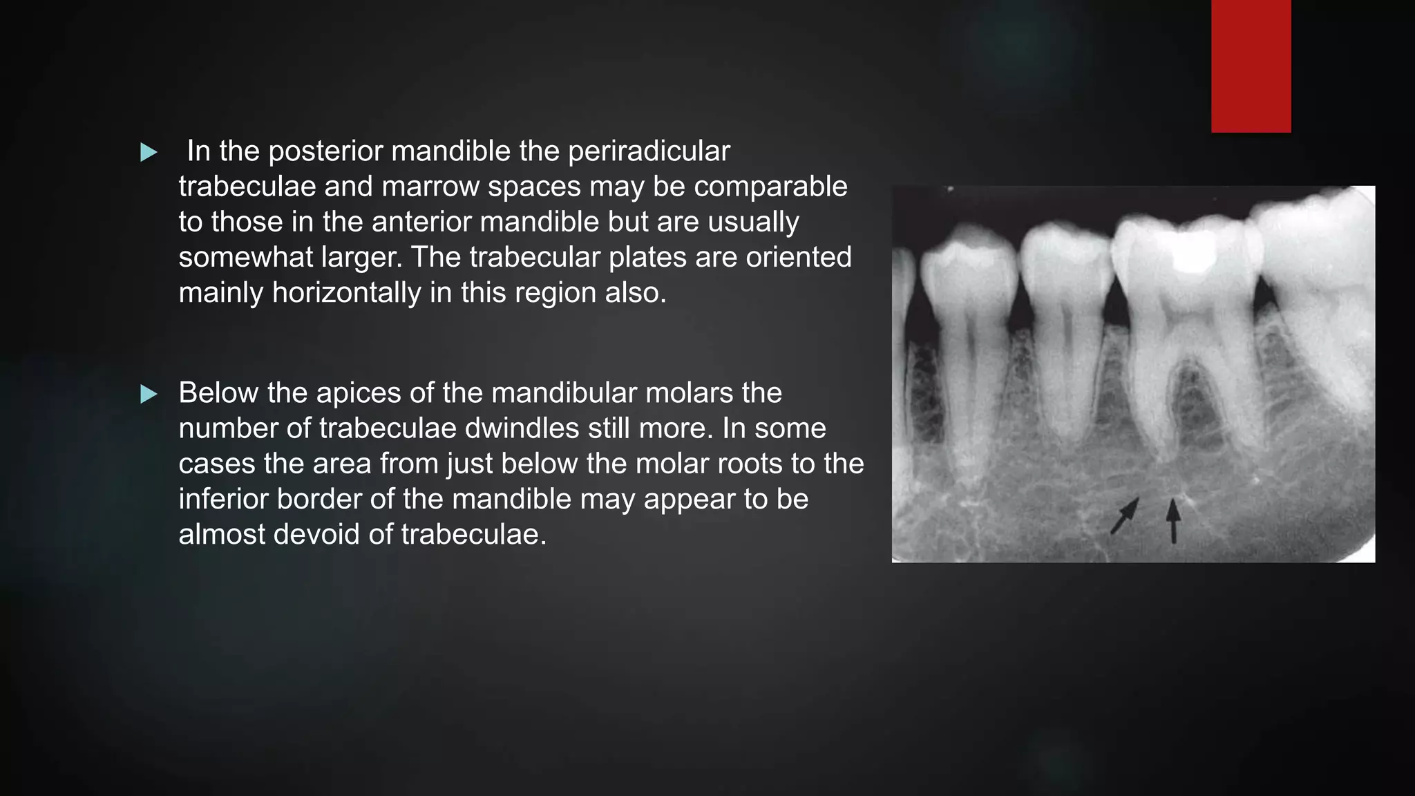 3 normal anatomy IOPA.pptx