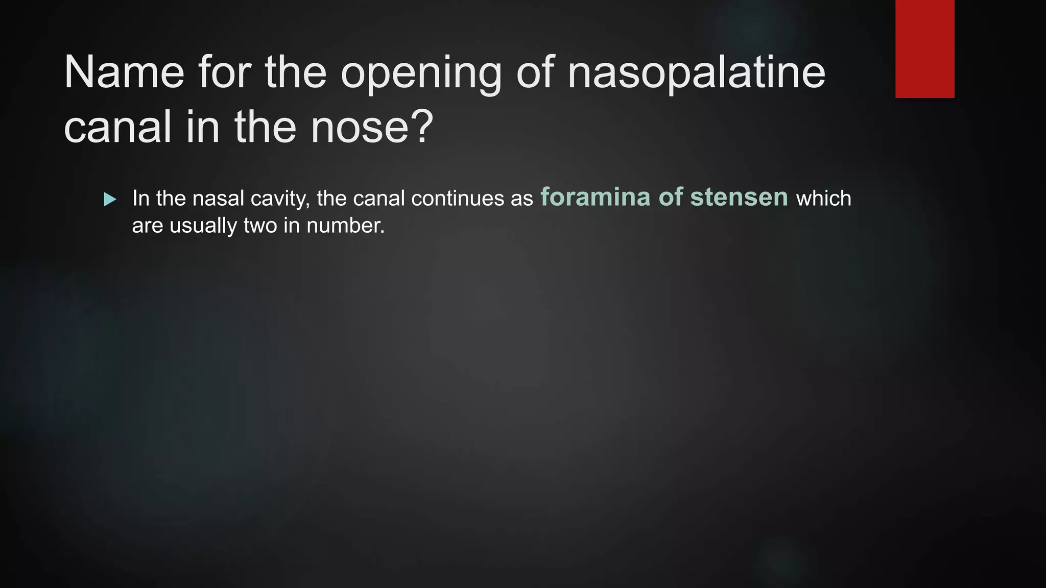 3 normal anatomy IOPA.pptx
