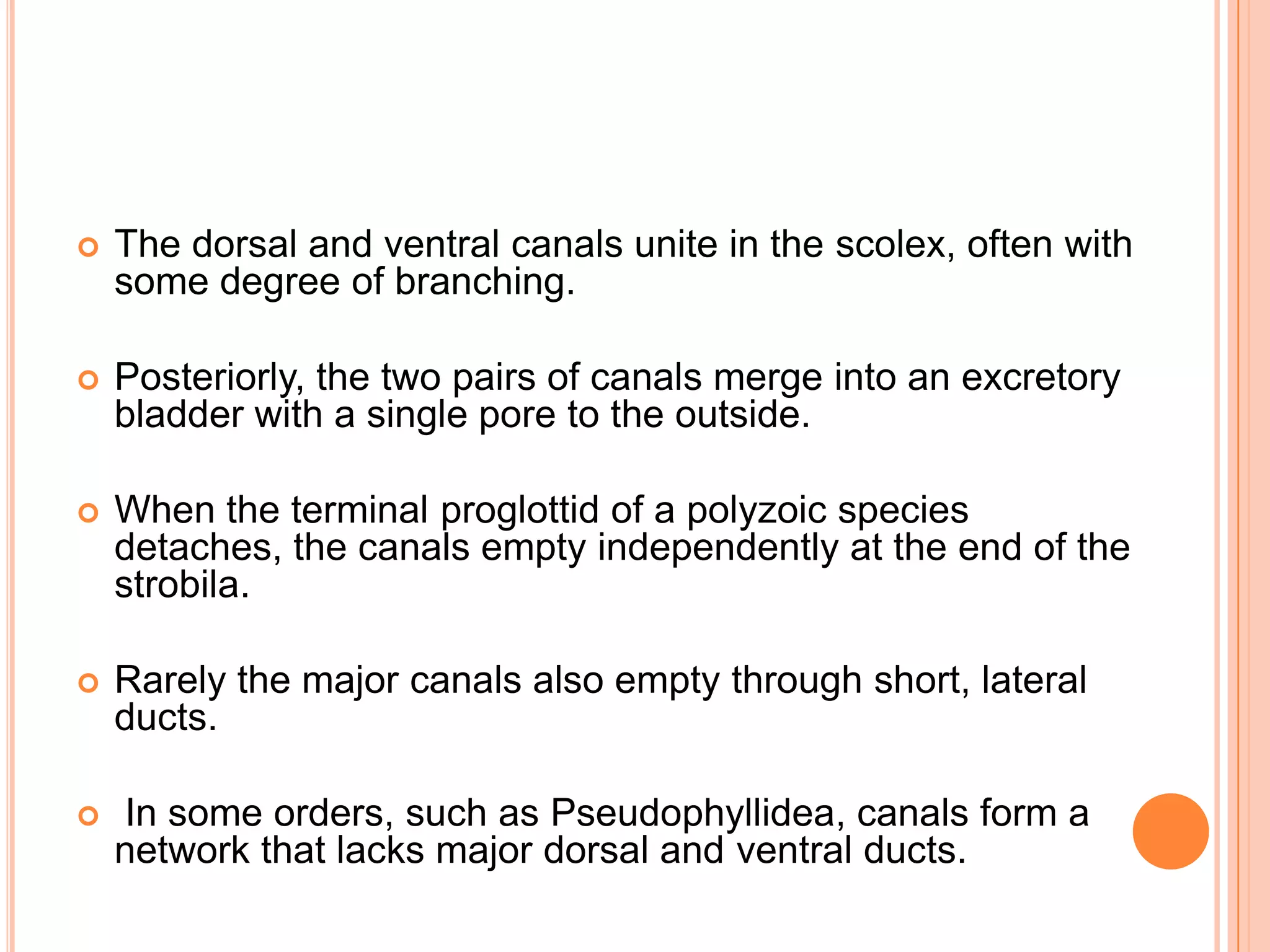 3 nutrition and es of parasites trematode, cestode and acanthocephalan ...