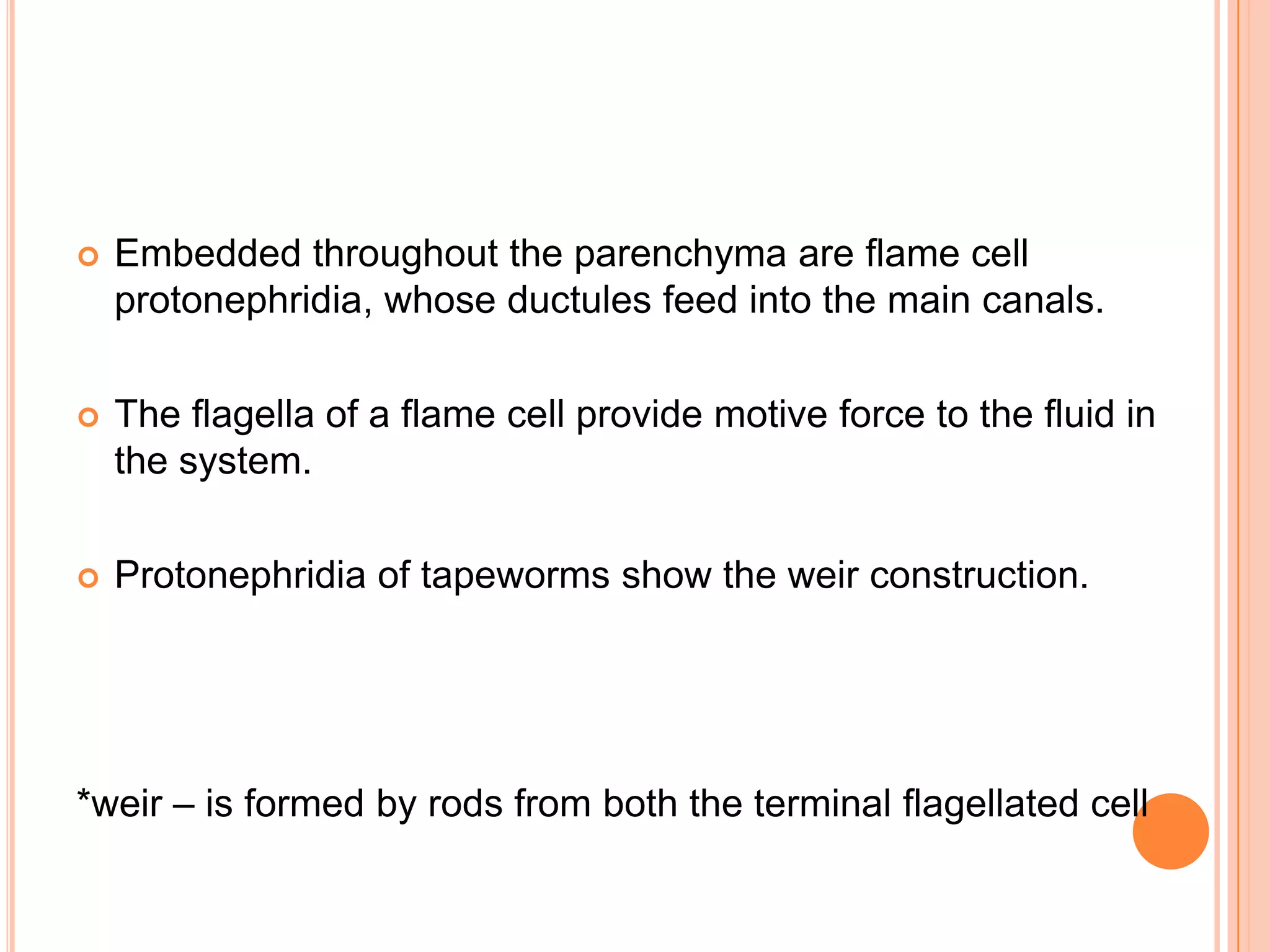 3 nutrition and es of parasites trematode, cestode and acanthocephalan ...