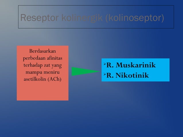 (3) obat obat kolinergik | PPT