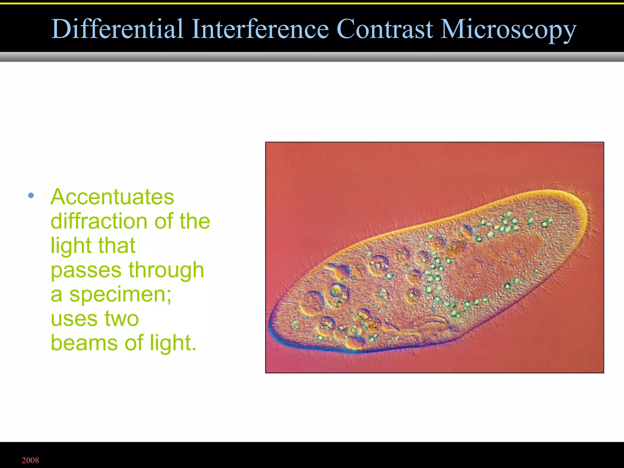 observing microorganisms_through_a_microscope | PPT