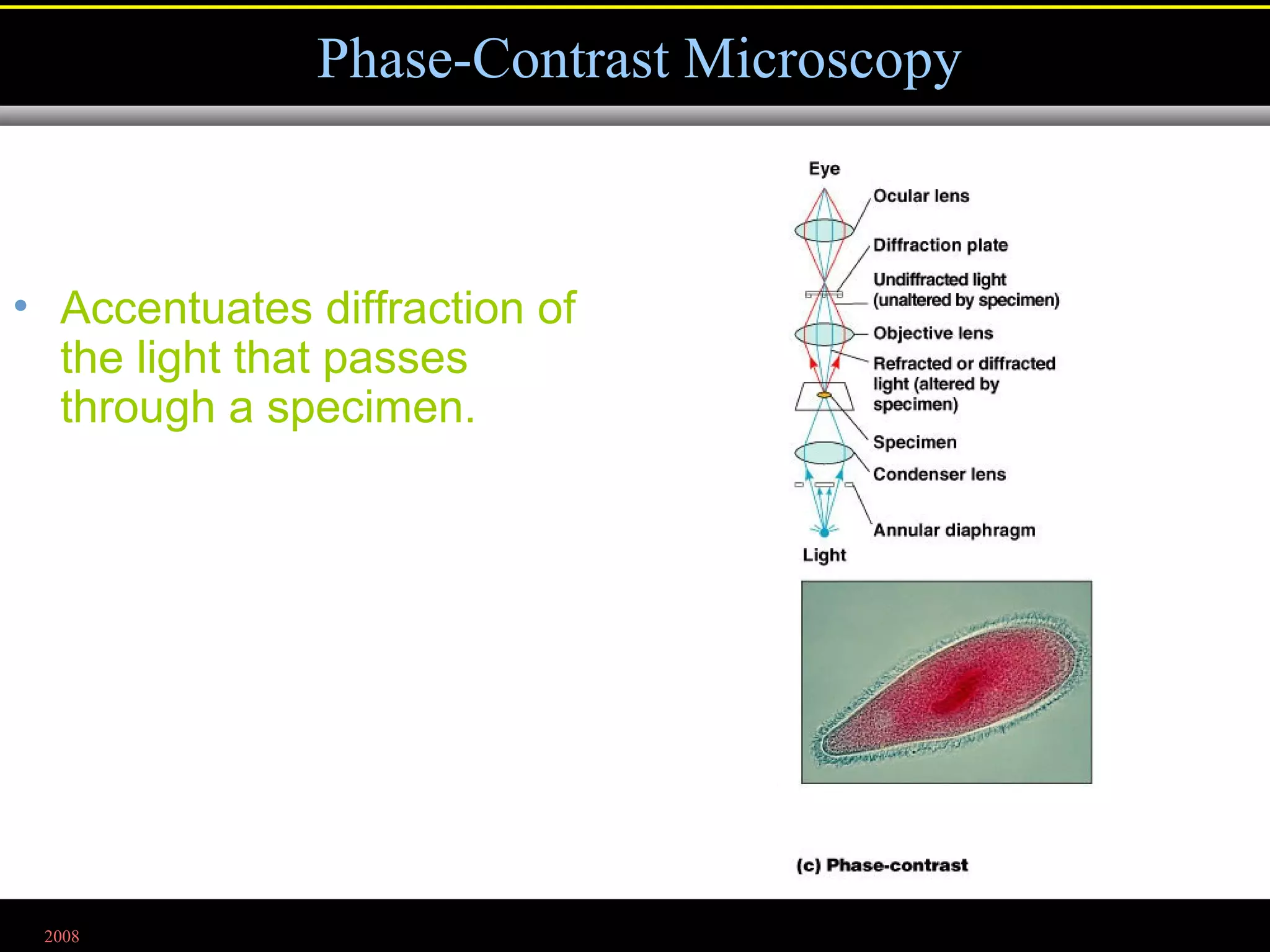 observing microorganisms_through_a_microscope | PPT