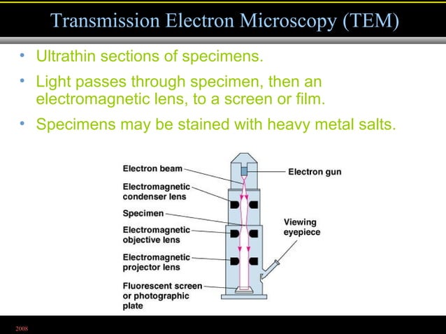 observing microorganisms_through_a_microscope | PPT | Physics | Science