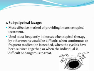 Ocular therapeutics - medicating the eye.pptx