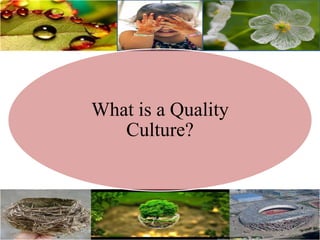 3 of 5 Creating the Quality Culture by Sultan Ghani | PDF