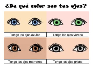 Ojos y_pelo_lesson | PPT