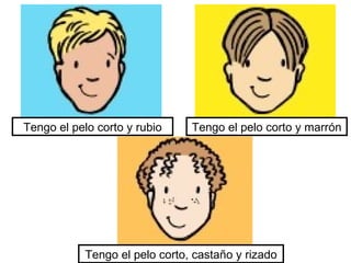 Ojos y_pelo_lesson | PPT