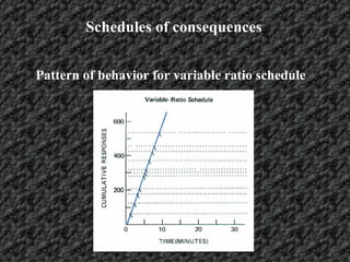 operant conditioning | PPT