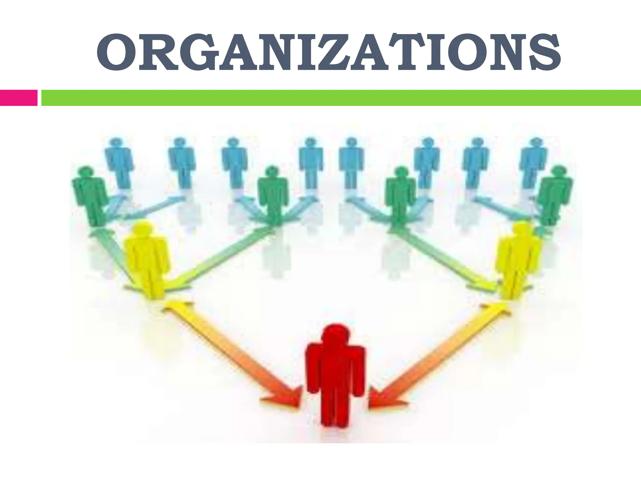 Organizations and Its definition, characteristics, and forms | PPT