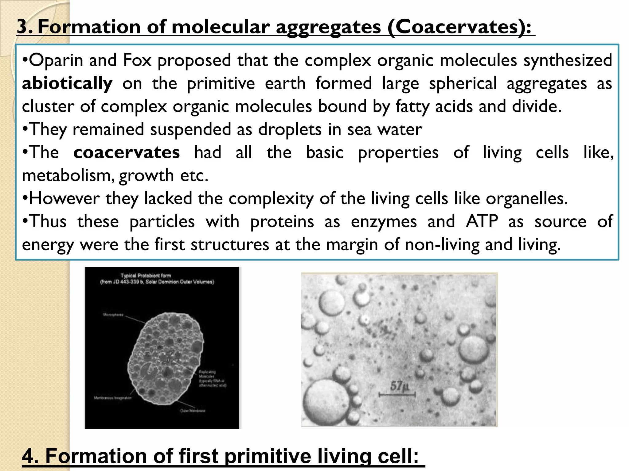 Origin of life | PDF