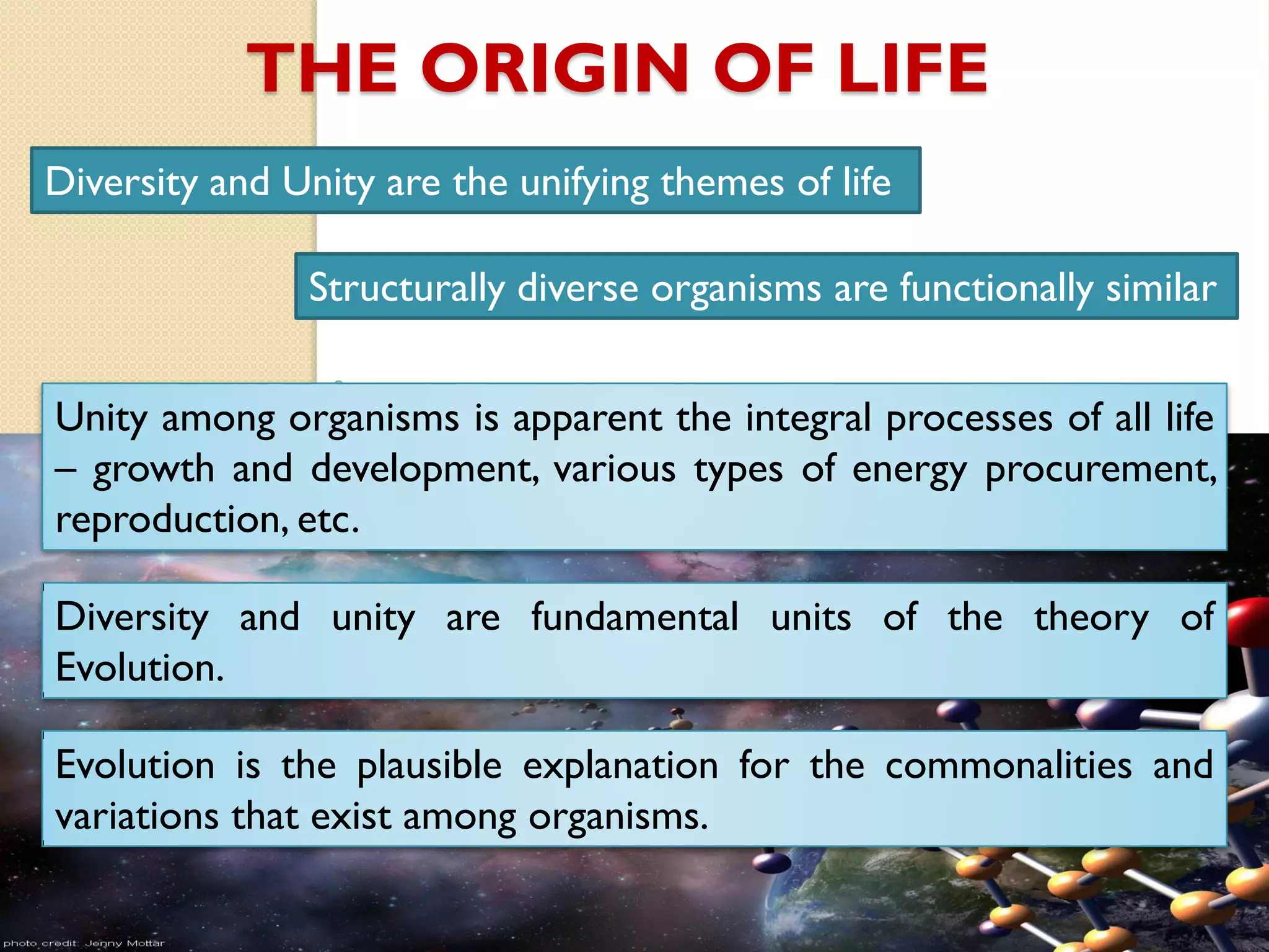 Origin of life | PDF
