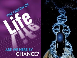 Origin of life | PDF