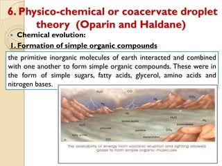Origin of life | PDF