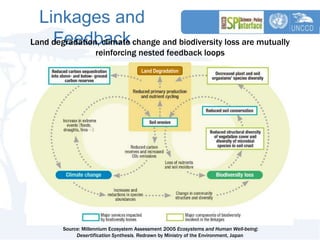 SOC as indicator of progress towards achieving Land Degradation ...
