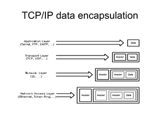 3 Osi Architecture | PPT | Operating Systems | Computer Software and ...