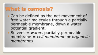 AS Biology - Osmosis | PPT