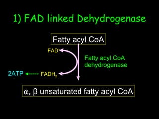 Oxidation Fatty Acids | PPT