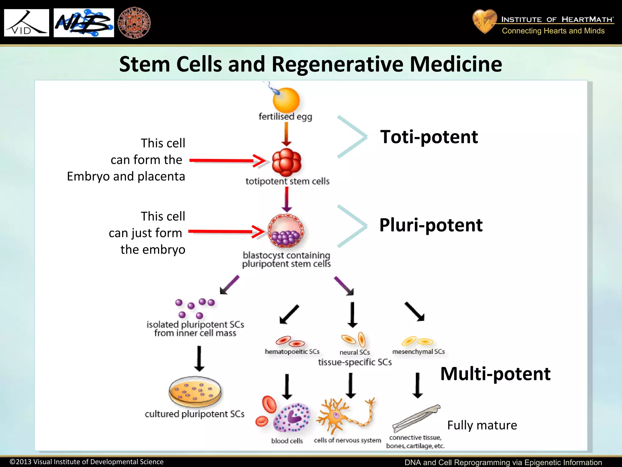 Dr Carlo Ventura Dna And Cell Reprogramming Ppt