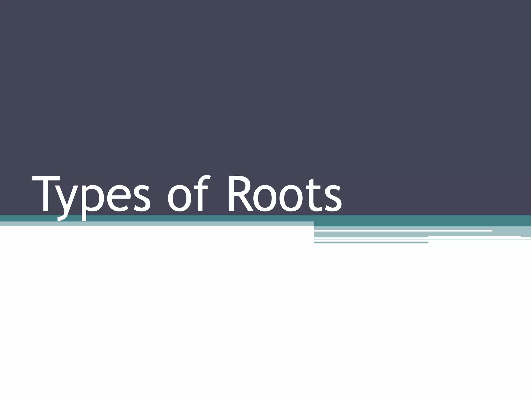 U4 l4 types of roots | PPT