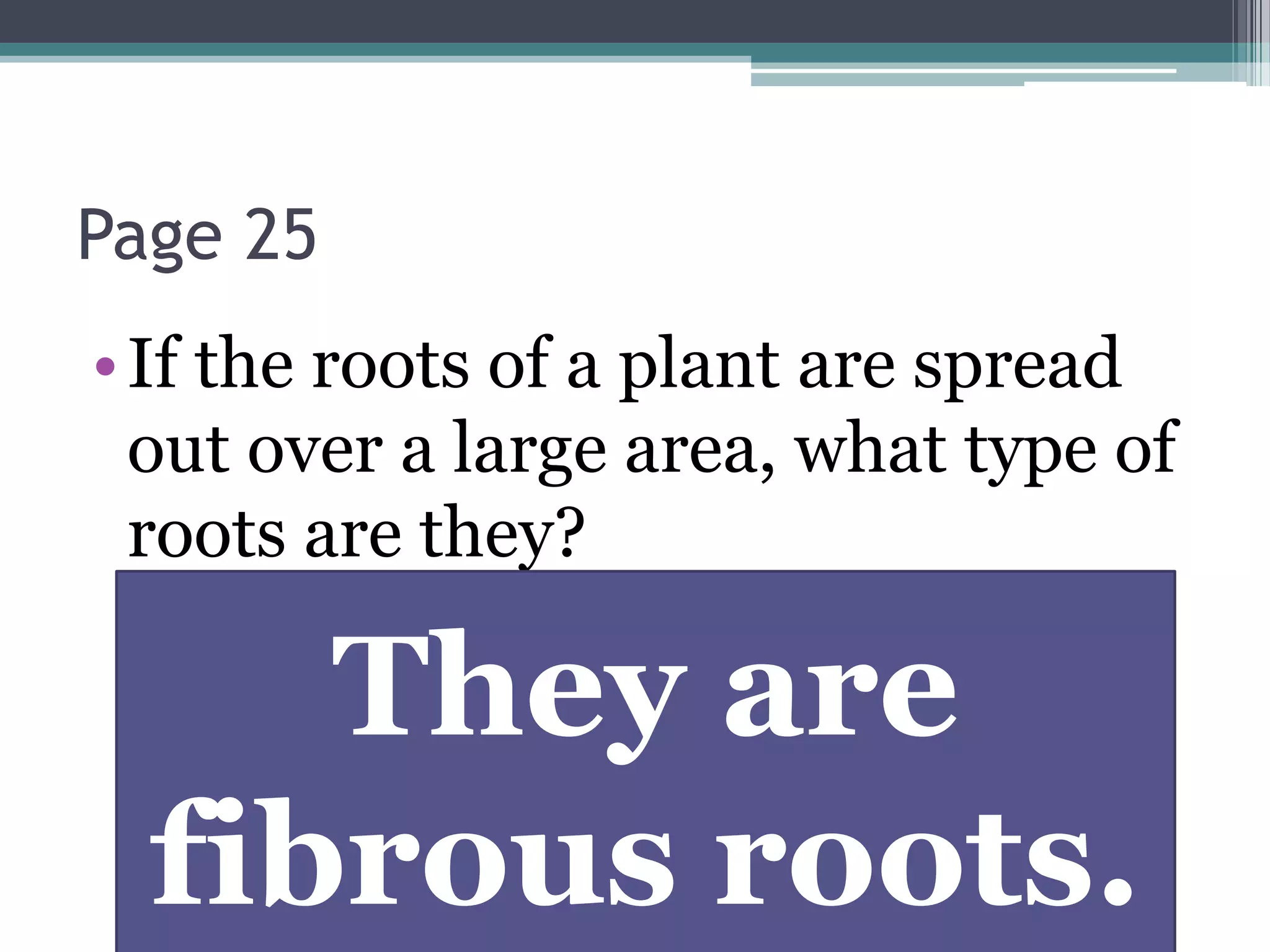 U4 l4 types of roots | PPT