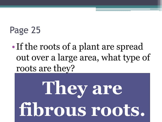U4 l4 types of roots | PPT