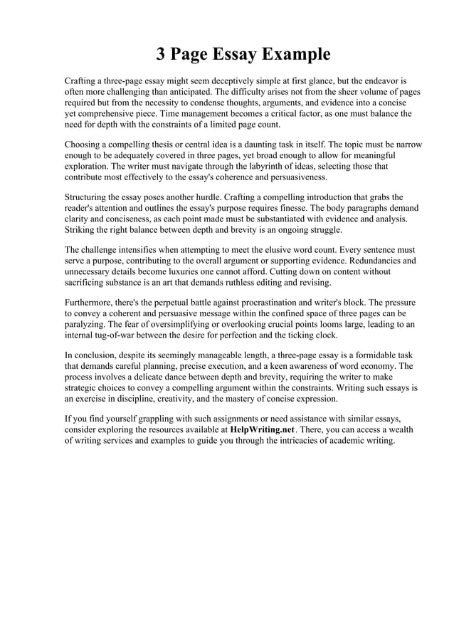 3 Page Essay Example.pdf