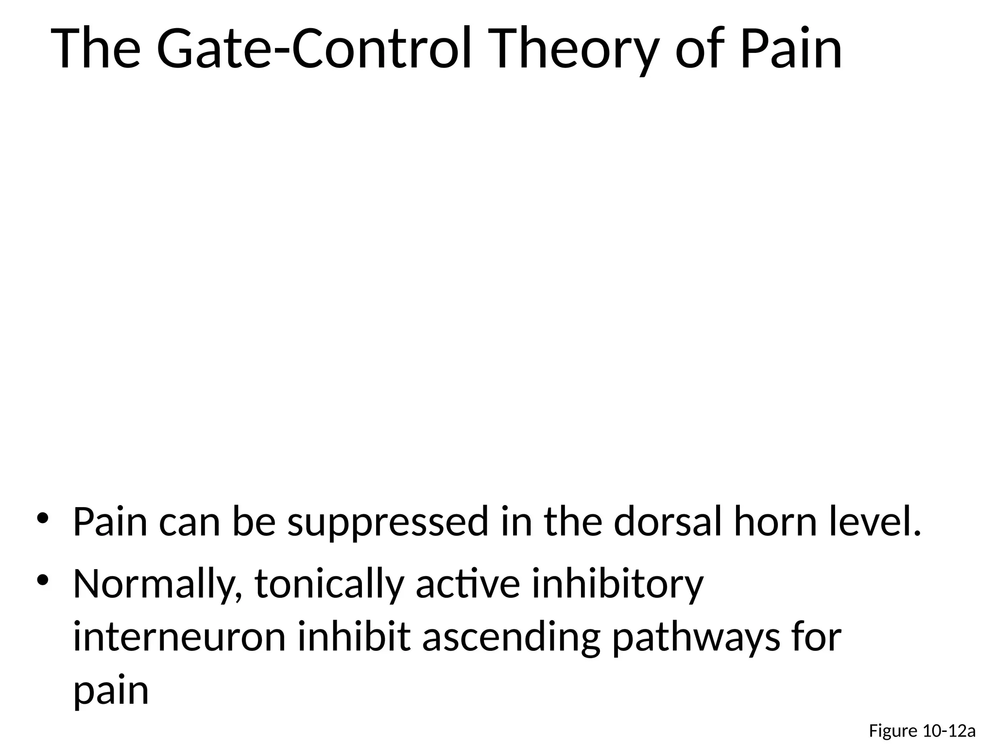 3_ PHYSIOLOGY OF PAIN; HUMAN PHYSIOLOGY .pptx