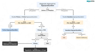 3• Parathyroid Disorders slideshow [Slides].pdf | Endocrine and ...
