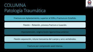 Patología radiológica de la columna vertebral | PPTX