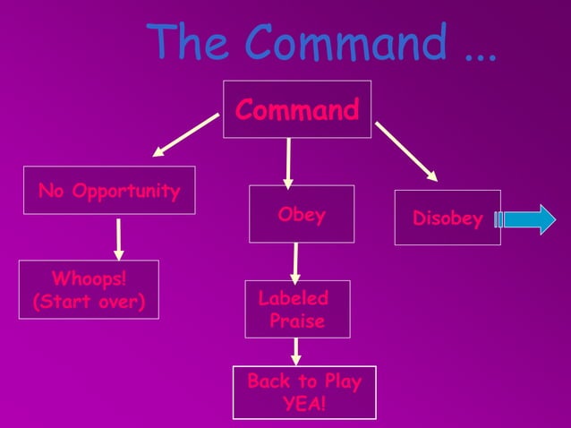 Parent Child Interaction Technique Pcit07 Ppt Parenting Babies And