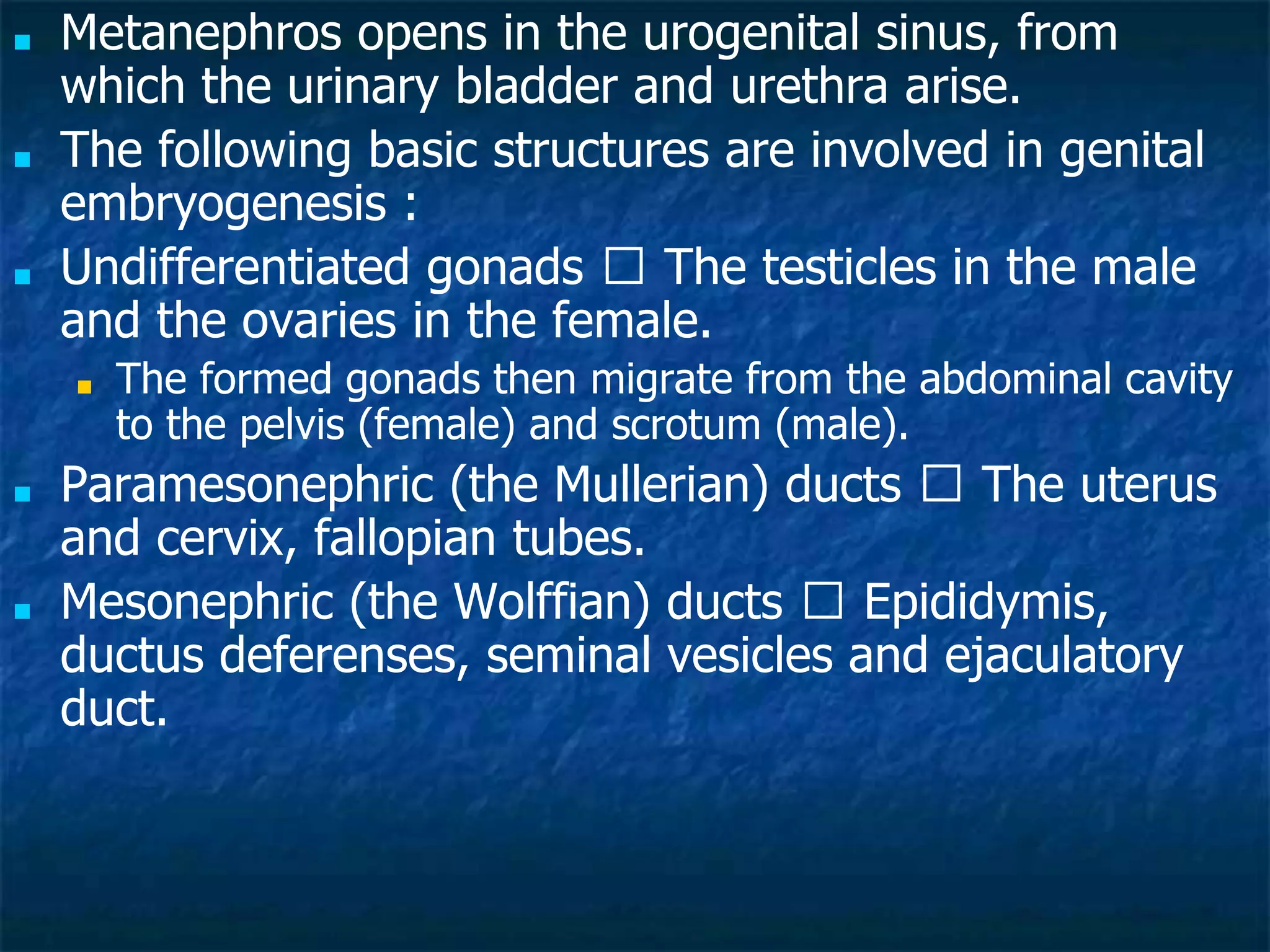 pediatric urology, anomaly.pptx