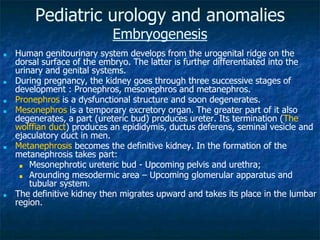 pediatric urology, anomaly.pptx