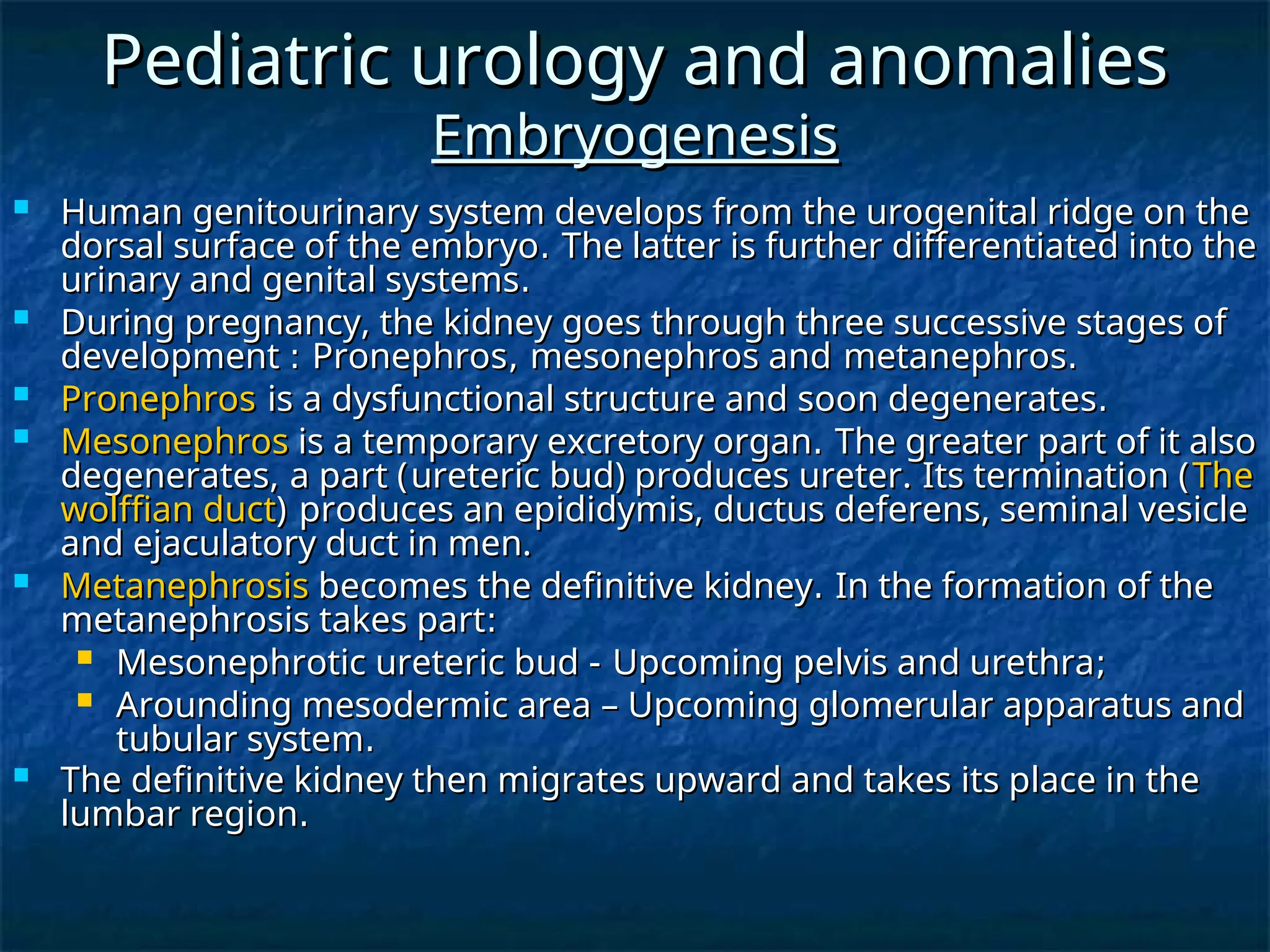 pediatric urology and anomaly vs eldery.ppt