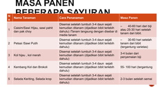 3 Pekarangan.pptx
