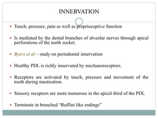 Periodontal ligament, fibers, functions, blood supply | PPT