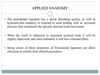 Periodontal ligament, fibers, functions, blood supply | PPT