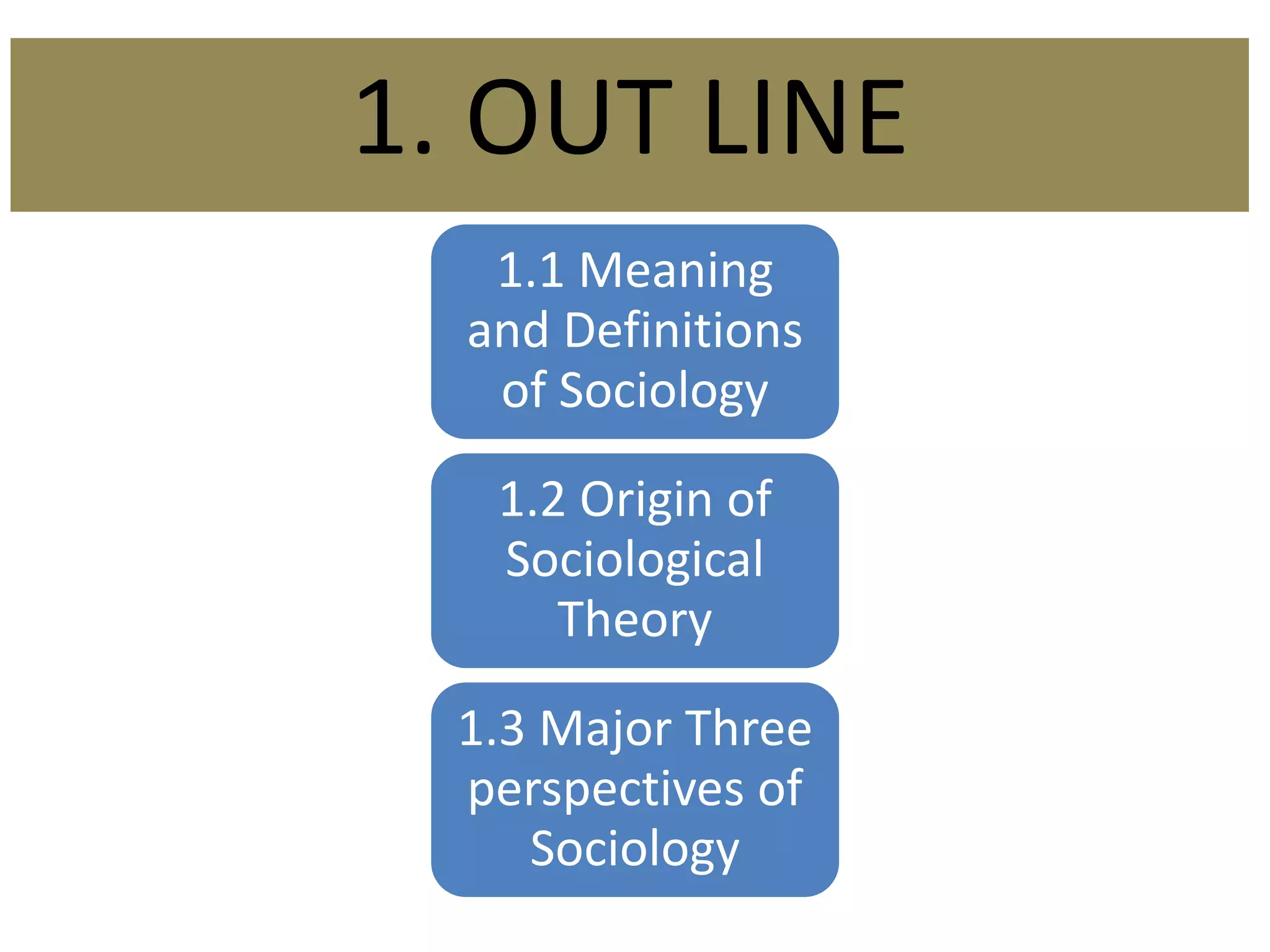 3 perspectives of sociology | PPTX